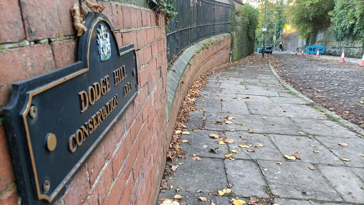 Friends of Dodge Hill | Loving and Protecting Dodge Hill, Stockport, UK